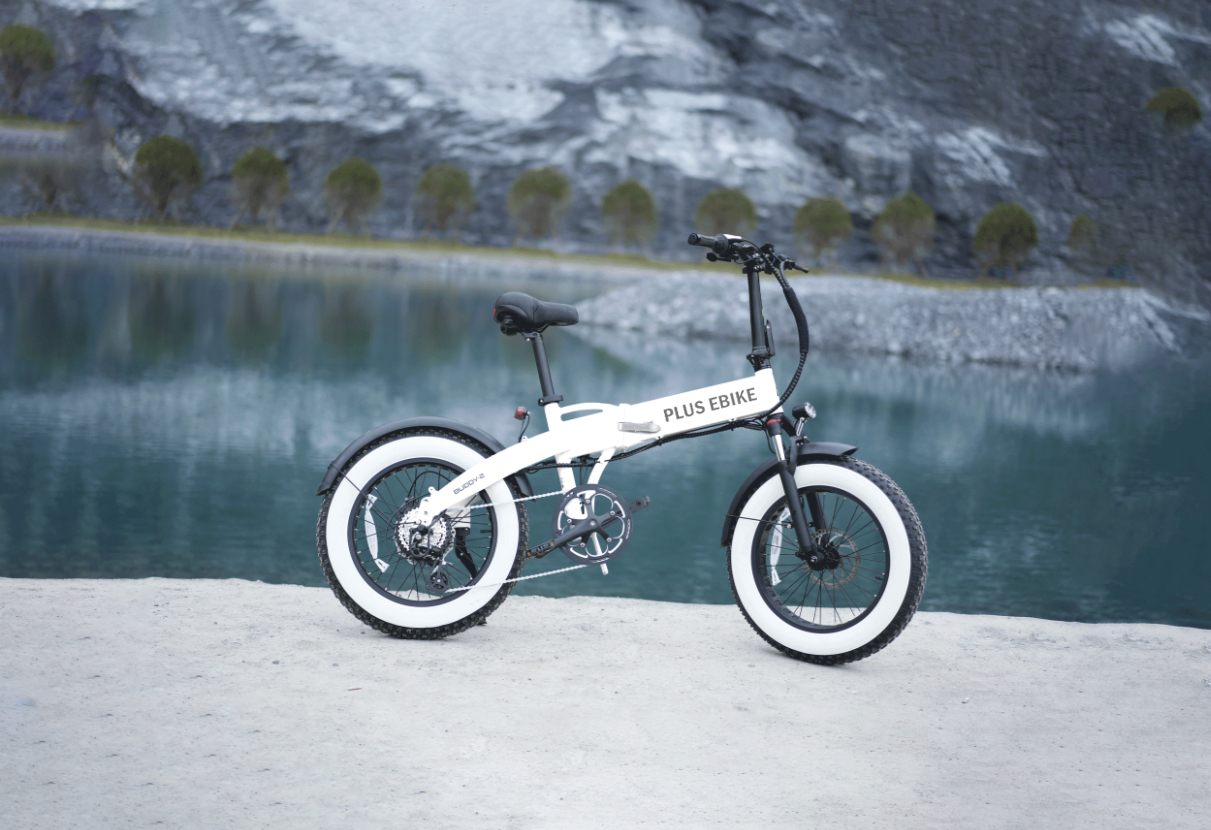 20 inch Folding Fat Tire Electric Bike BUDDY - PLUS EBIKE